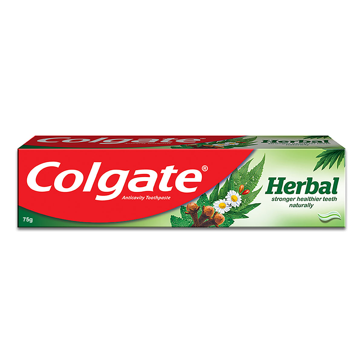 Colgate Herbal Toothpaste 75g – One Health